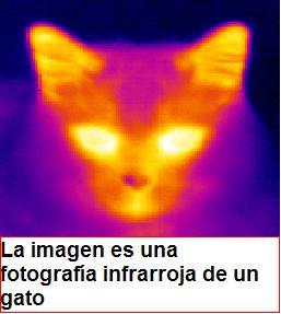 La Luz Infraroja: ¿Qué es el Infrarrojo?