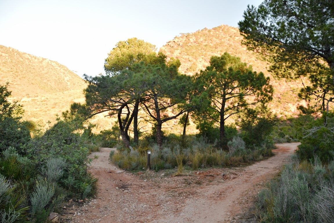 Mendiko osterak: Aguille Saint Agueda Hego arista
