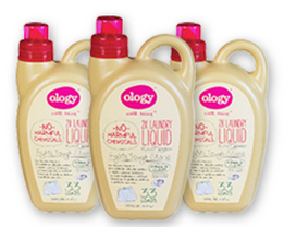 Inspired by Savannah: Creating a Healthier Home for my Family By Using ...