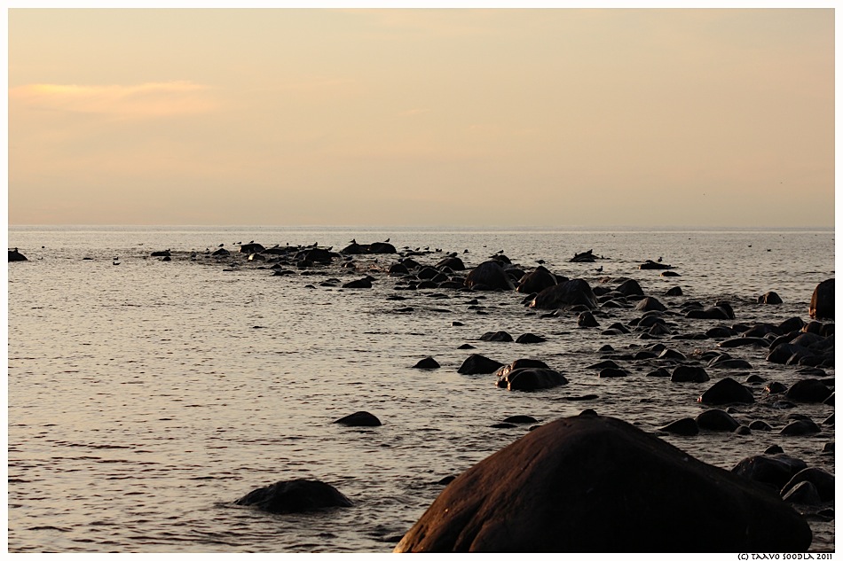 TaavoFoto: TAHKUNA POOLSAARE TIPP