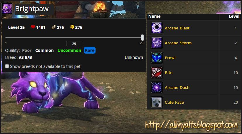 Adopt Brightpaw Now for Make-A-Wish