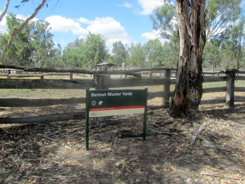 TRACKS, TRAILS AND COASTS NEAR MELBOURNE : Barmah National Park ...