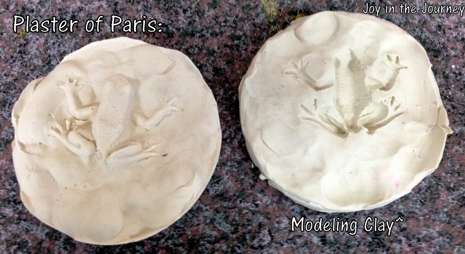 Making Fossils in the Classroom - Joy in the Journey