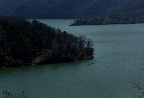 Phantoms and Monsters - Real Eyewitness Cryptid Encounter Reports