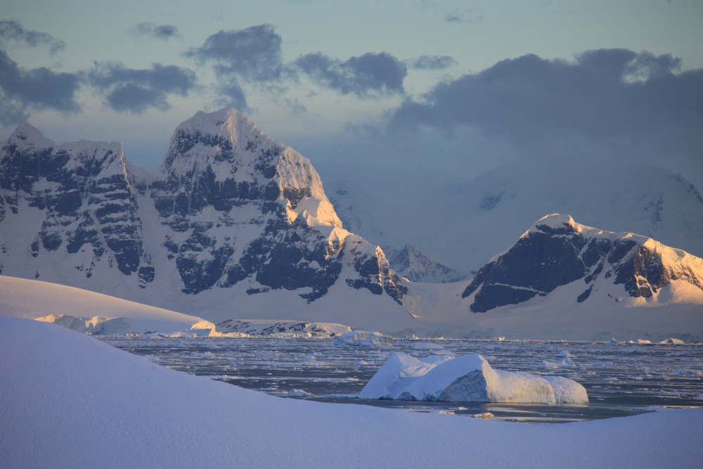 Earthly Musings - My Travel and Geology Blog: Cuverville Island and ...