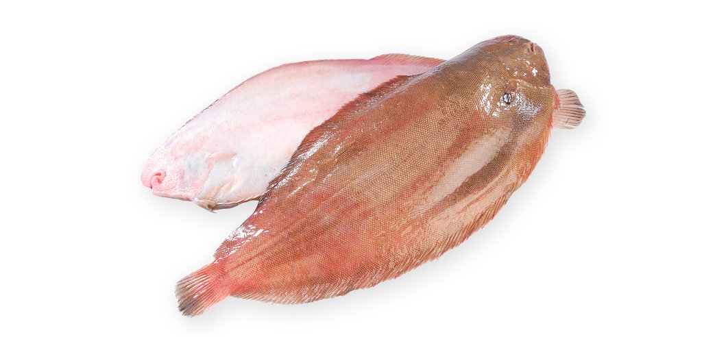 les plats du monde de cécilia: POISSONS DE MER