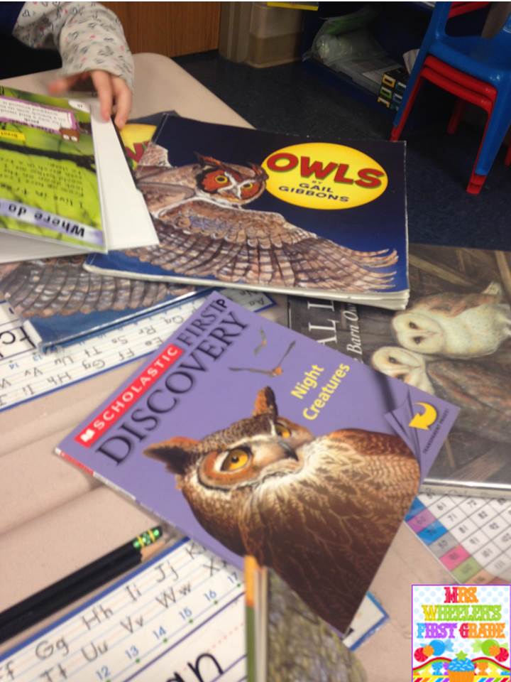 Mrs. Wheeler's First Grade Tidbits: Non-fiction Writing: Just Add Books