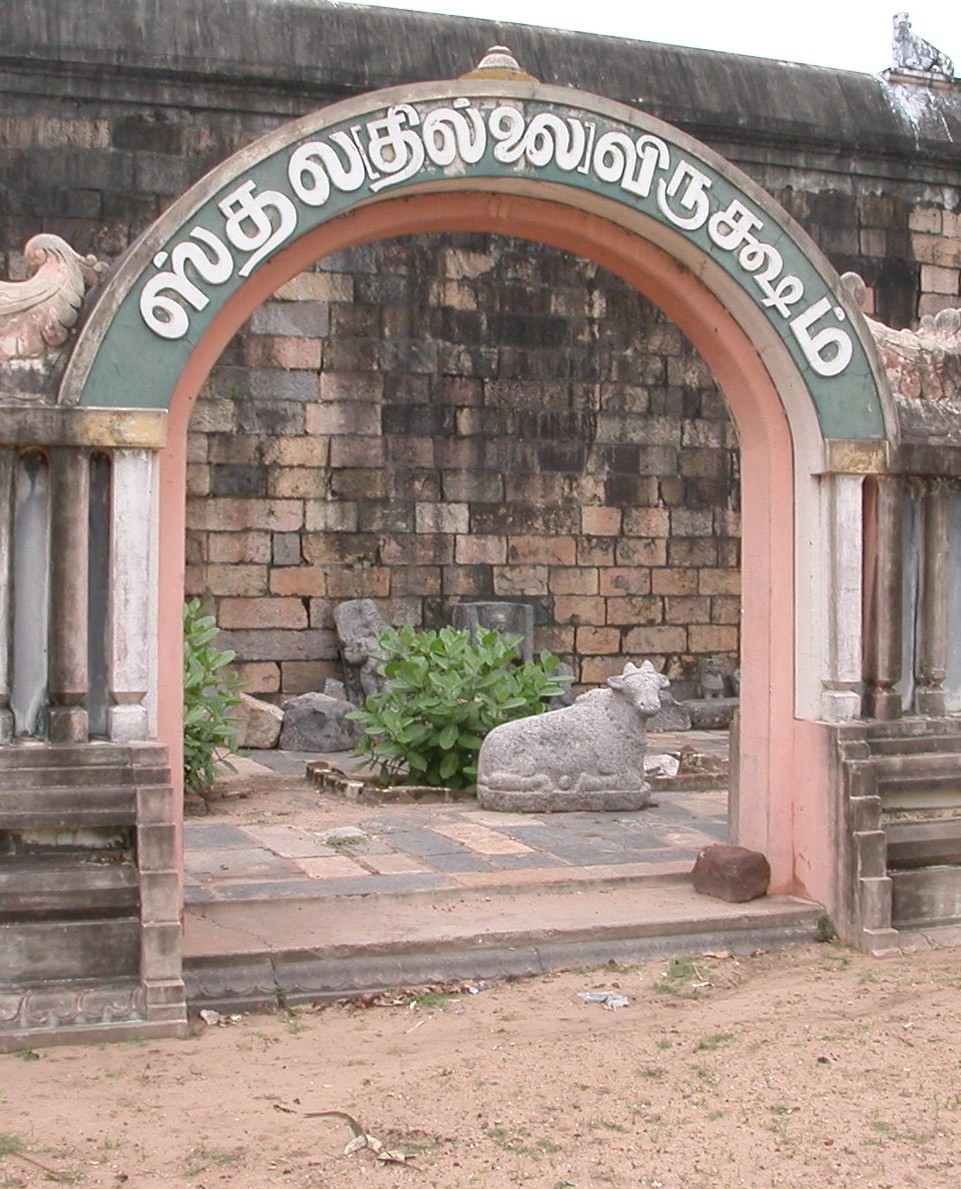 Comparative religion (சமய ஒப்பாய்வு): Bodh Gaya to Chidambaram