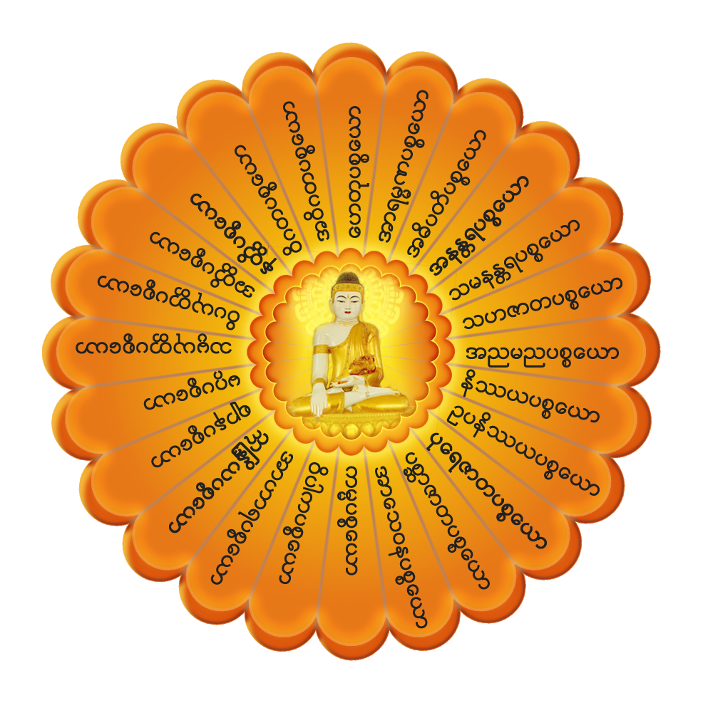 TIGREX: ပဌာန္း (၂၄)ပစၥည္း ၏ အနက္အဓိပၸာယ္