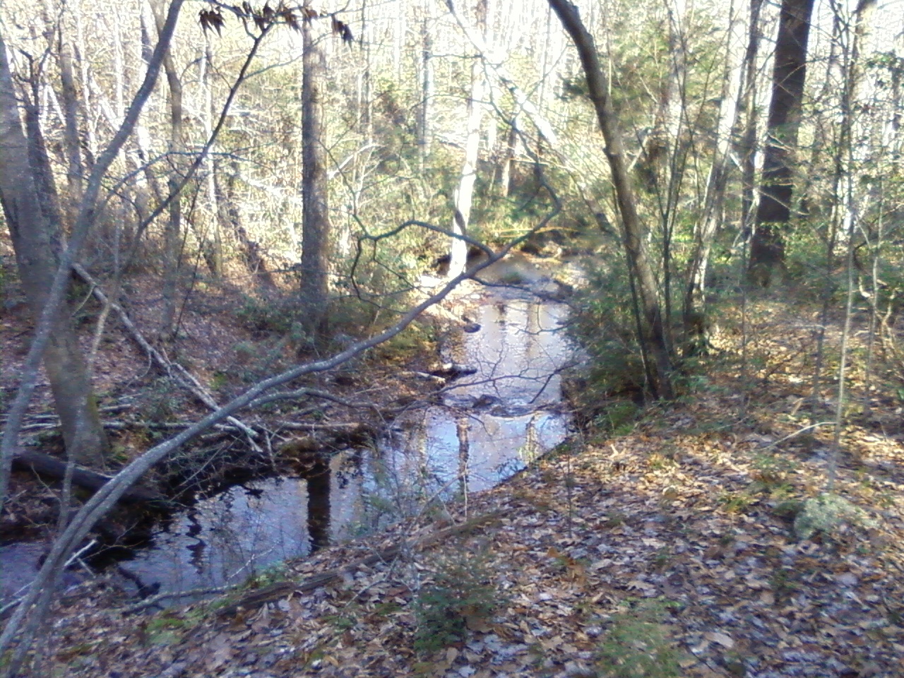 Just a few of my favorite short, overlooked hiking/nature trails in the ...