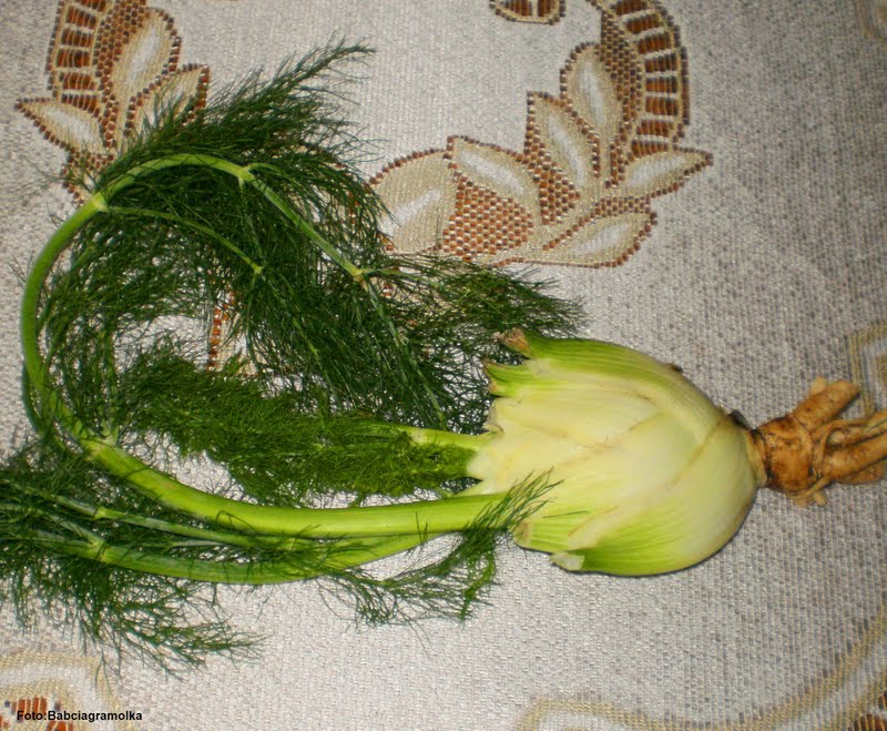 Buniabaje w kuchni: Pierś z kurczaka z fenkułem gotowana na parze