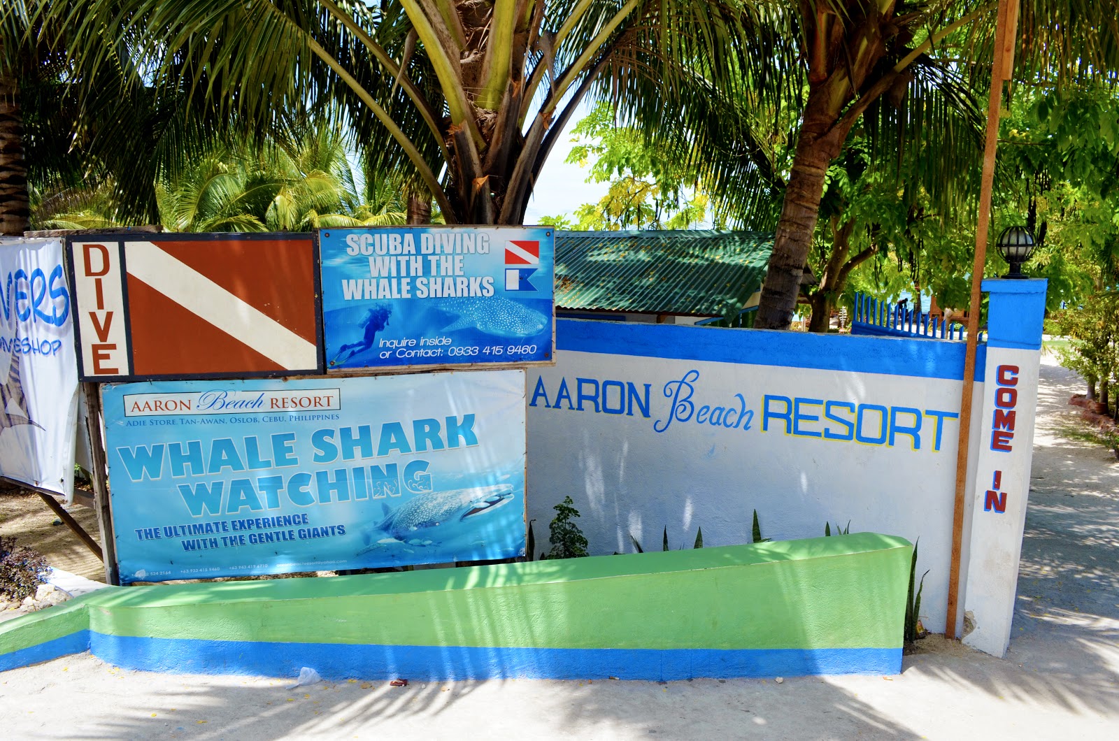 H E L L O ♥ K I M M Y : Aaron Beach Resort, Oslob, Cebu