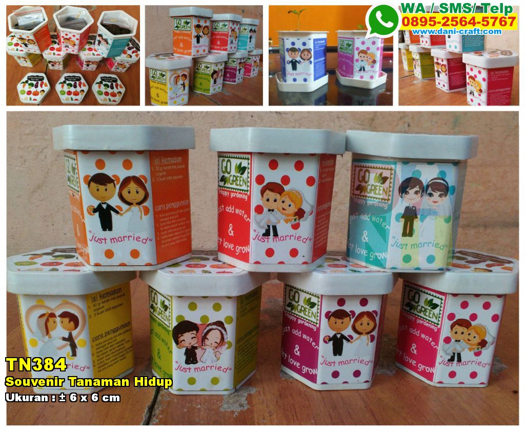 Souvenir Tanaman Hidup | Souvenir Pernikahan