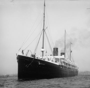 Tangled Trees: Certificate of Arrival on the SS LaTouraine