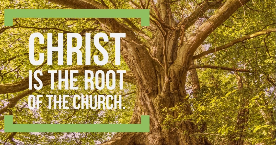 What is our root?