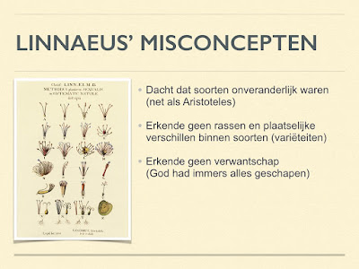 Ordening en Evolutie: Ordening
