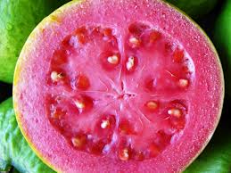 FRUTAS E SAUDE: GOIABA E SUAS ULTILIDADES