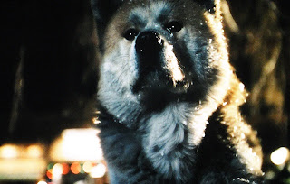 MUSINGS OF A SCI-FI FANATIC: Hachi: A Dog's Tale