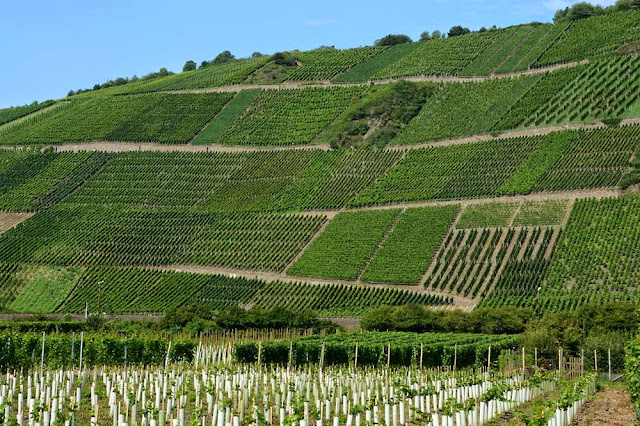 Chi viaggia impara: Immagini dal mondo: Europa (U)