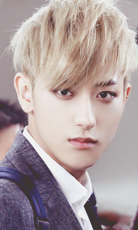 Voshow's Blogger: K-pop Big Trend EXO part 12 ( about Tao)