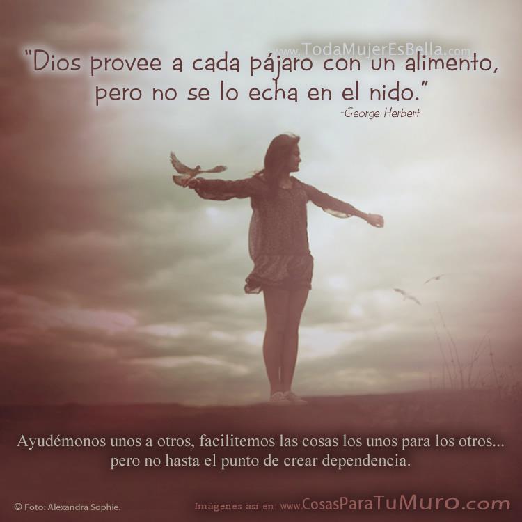 Dios proveerá a todas nuestras necesidades ~ Mejores Mensajes