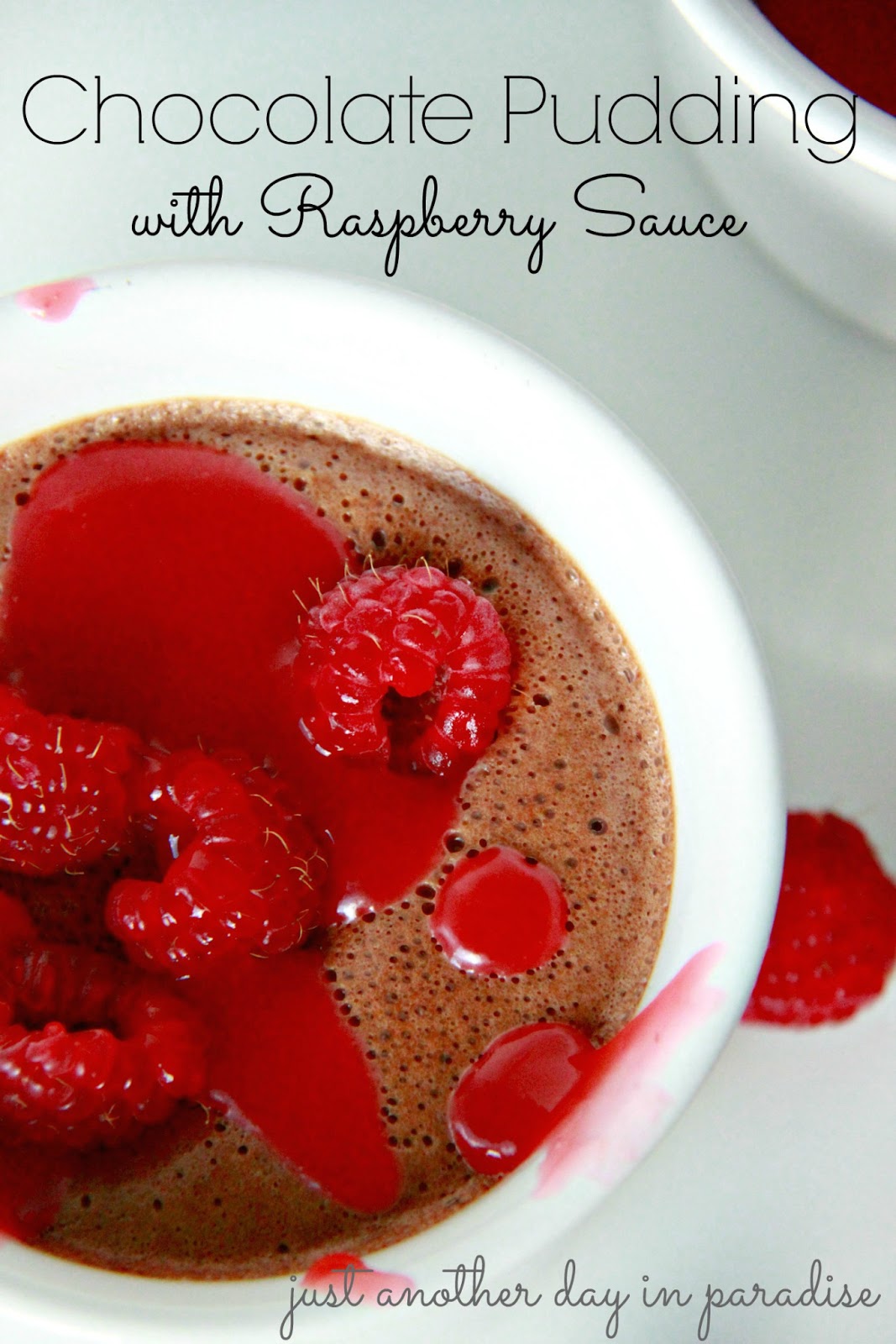 Larissa Another Day: Chocolate Pudding with Raspberry Sauce