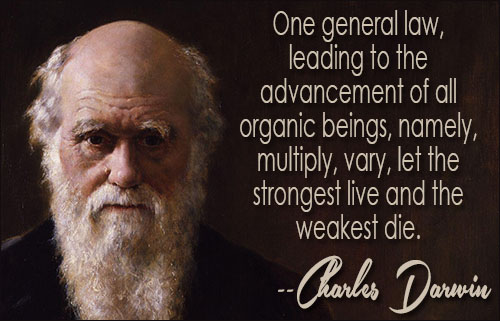 Citation Darwin Download Cite Gif citation-darwin-download-cite-gif