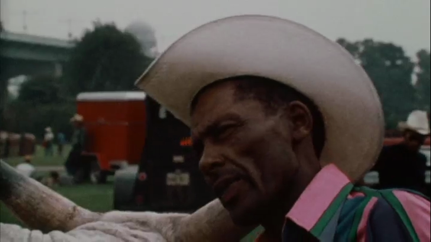 The Department of Afro American Research, Arts and Culture