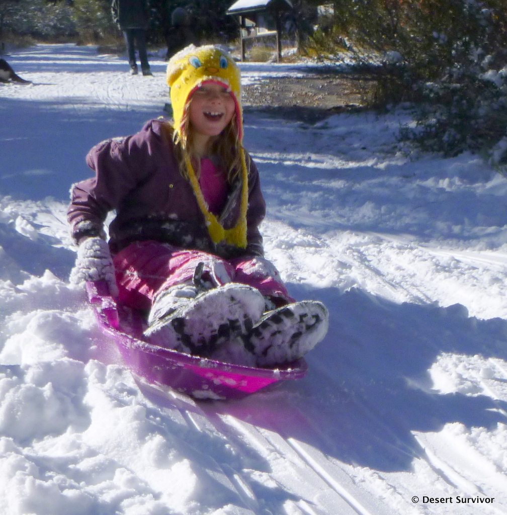 Desert Survivor: Our First Sledding Trip of the 2015/16 Winter