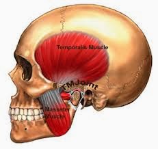all about of radiology: PEMERIKSAAN TEMPOROMANDIBULAR JOINT