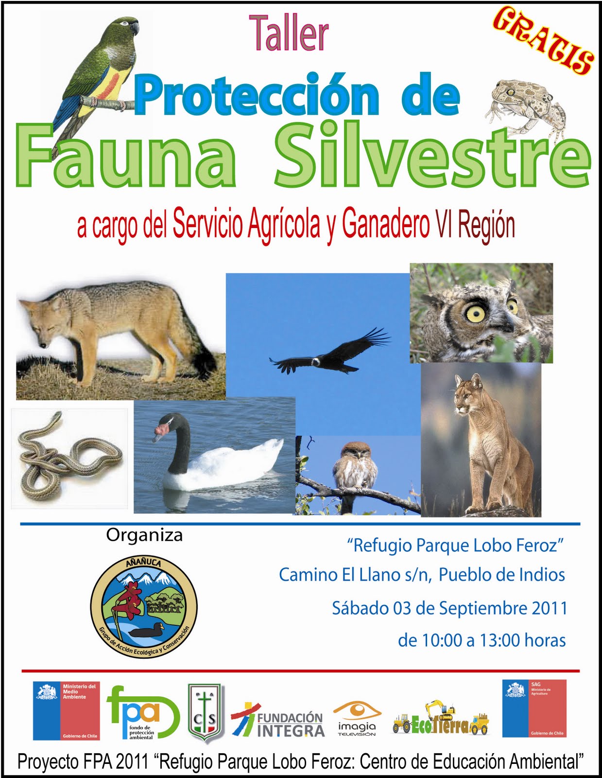 Fundación AÑAÑUCA: TODOS INVITADOS A PROTEGER LA FAUNA SILVESTRE