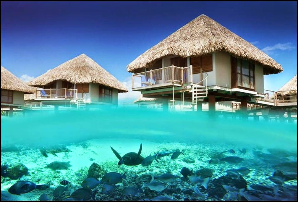 Bora Bora: The Heaven in the Earth (Part – 1) - Travel Tourism And ...