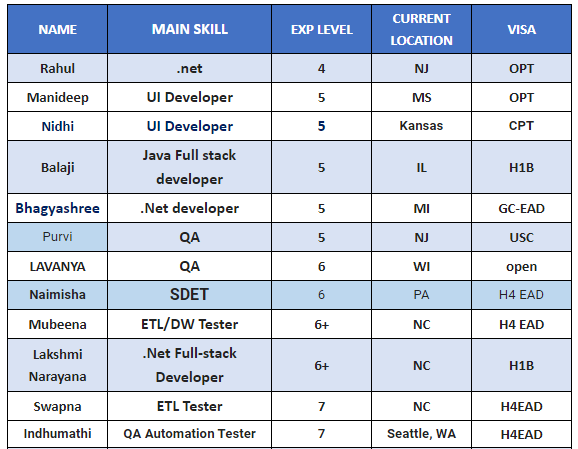 us bench sales hotlist for C2C requirements