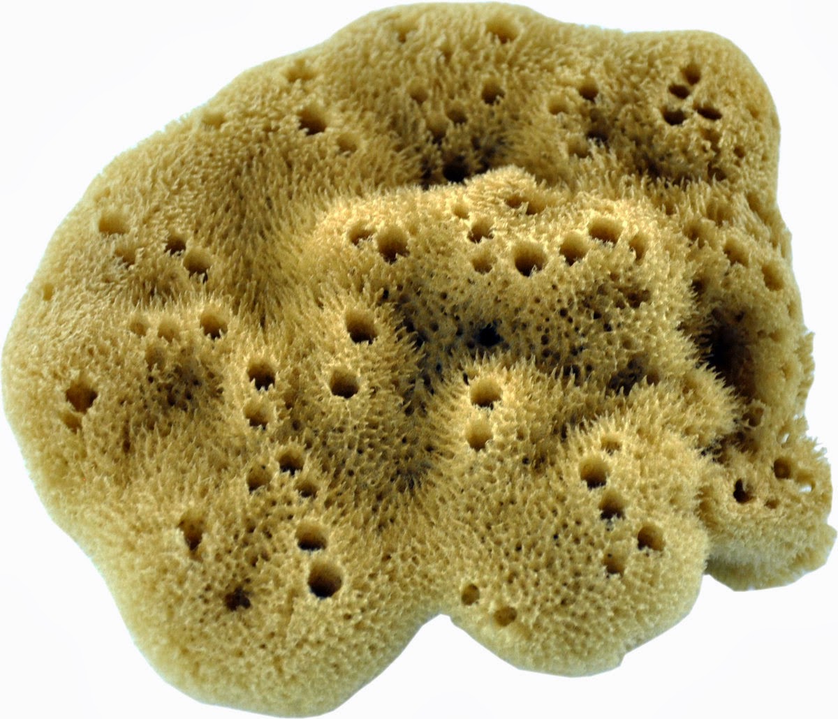 Concetto Piramidale: 01/10/13 - 01/11/13