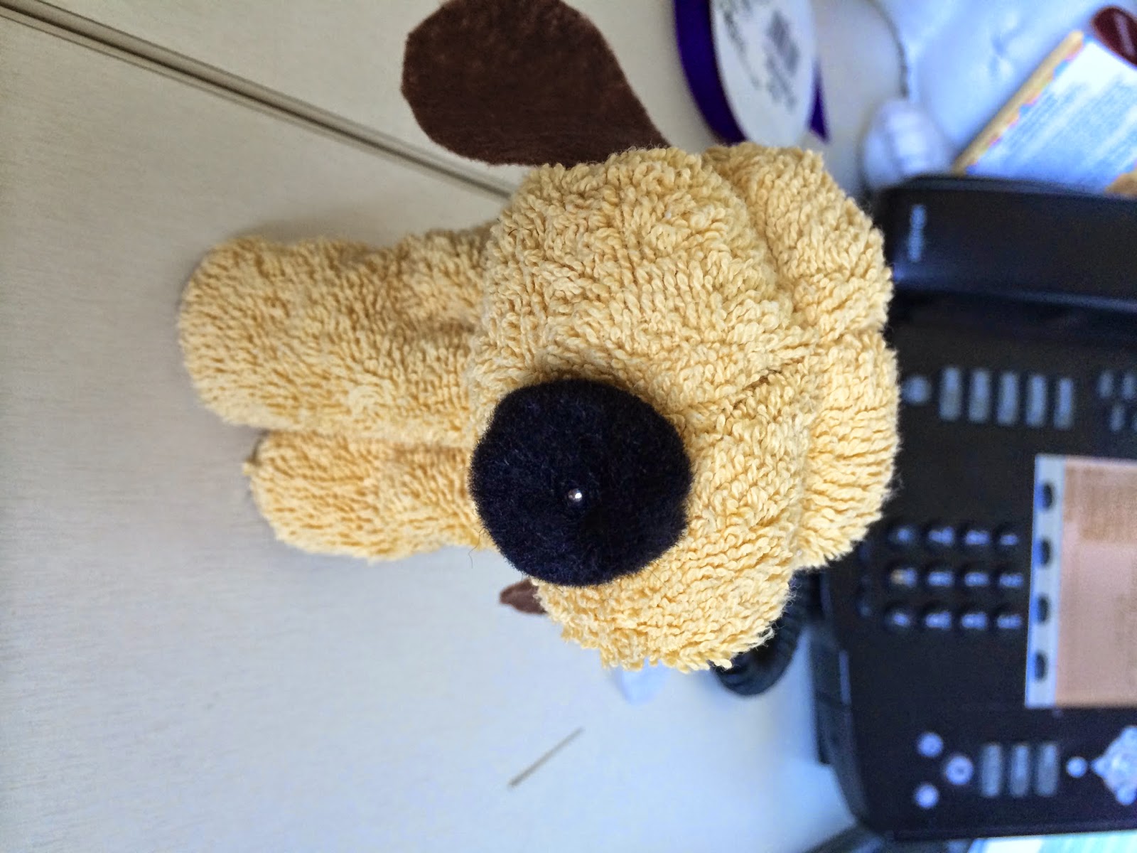 Muddy Paws & Puppy Kisses: Puppy Dog Wash Cloth Tutorial