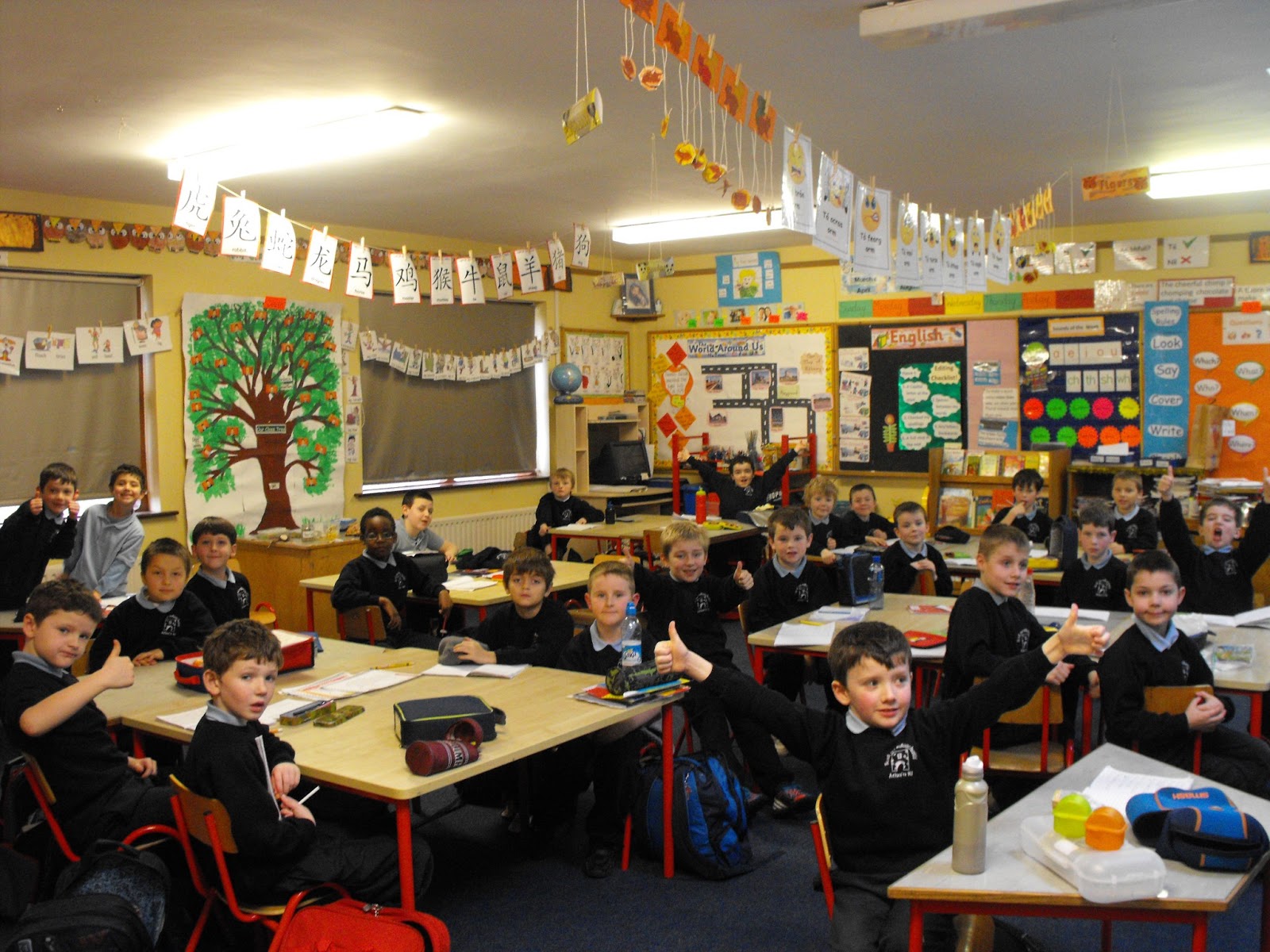 Explorers Primary Marine Education Programme: Fish arriving at Athenry ...