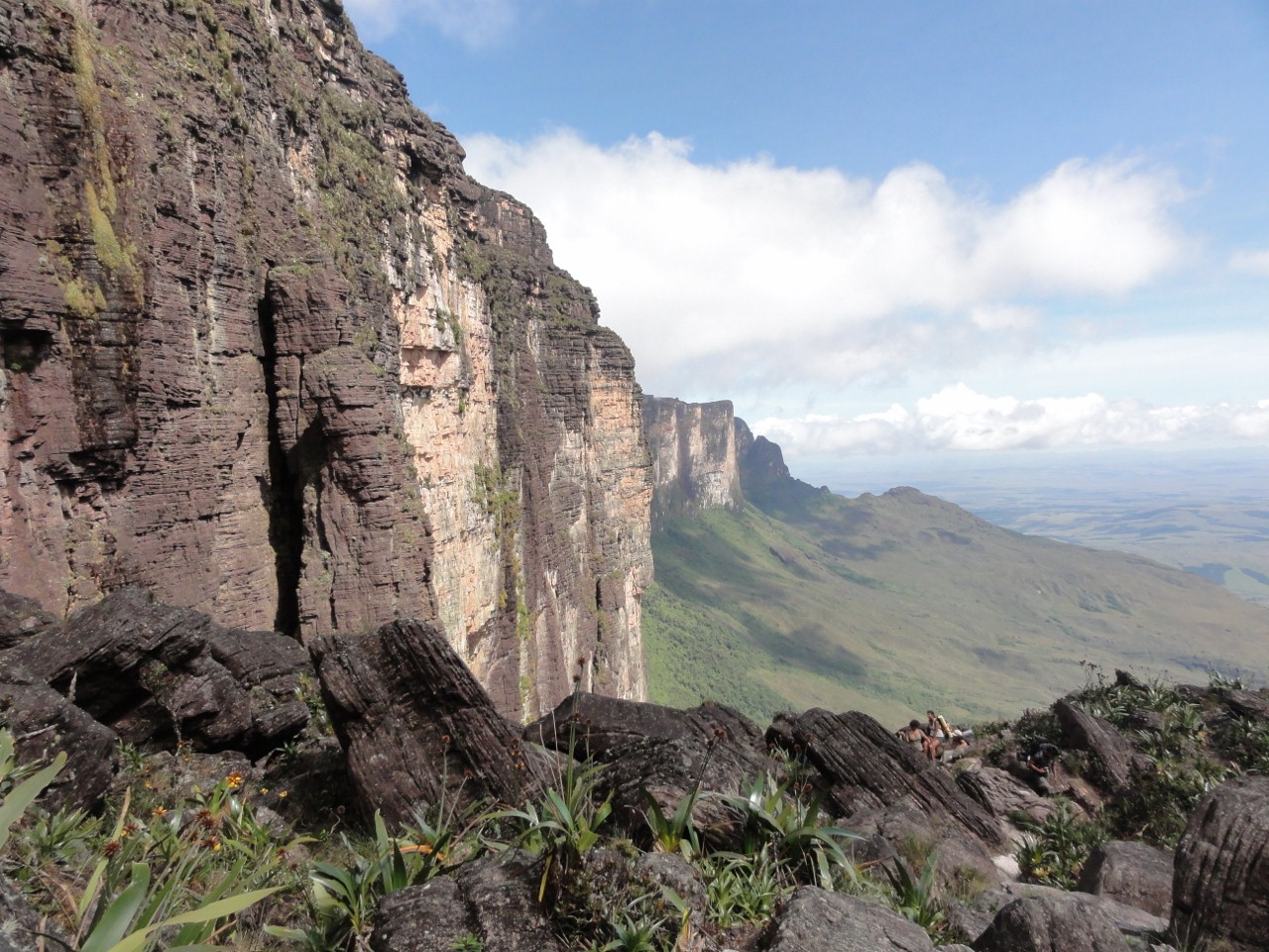La Chancha Viajera por America: El Gran Arbol Mitologico: Tepuy Roraima