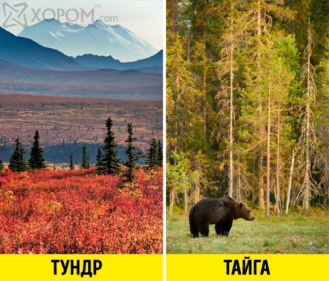 Цахим харилцаа, Интернэт технологи: Бидний одоо болтол үнэн гэж итгэж ...