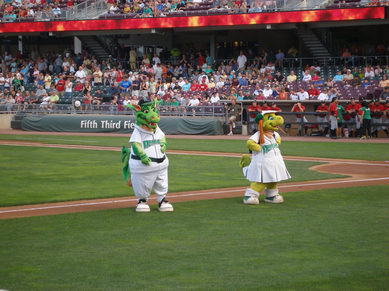 Joy in the Journey: Dayton Dragons Baseball