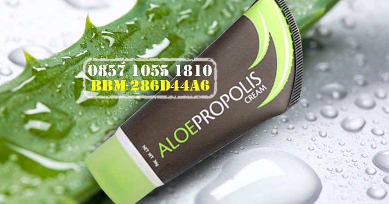 Aloe Propolis Cream Merawat Luka Tanpa Bekas | Produk HDI