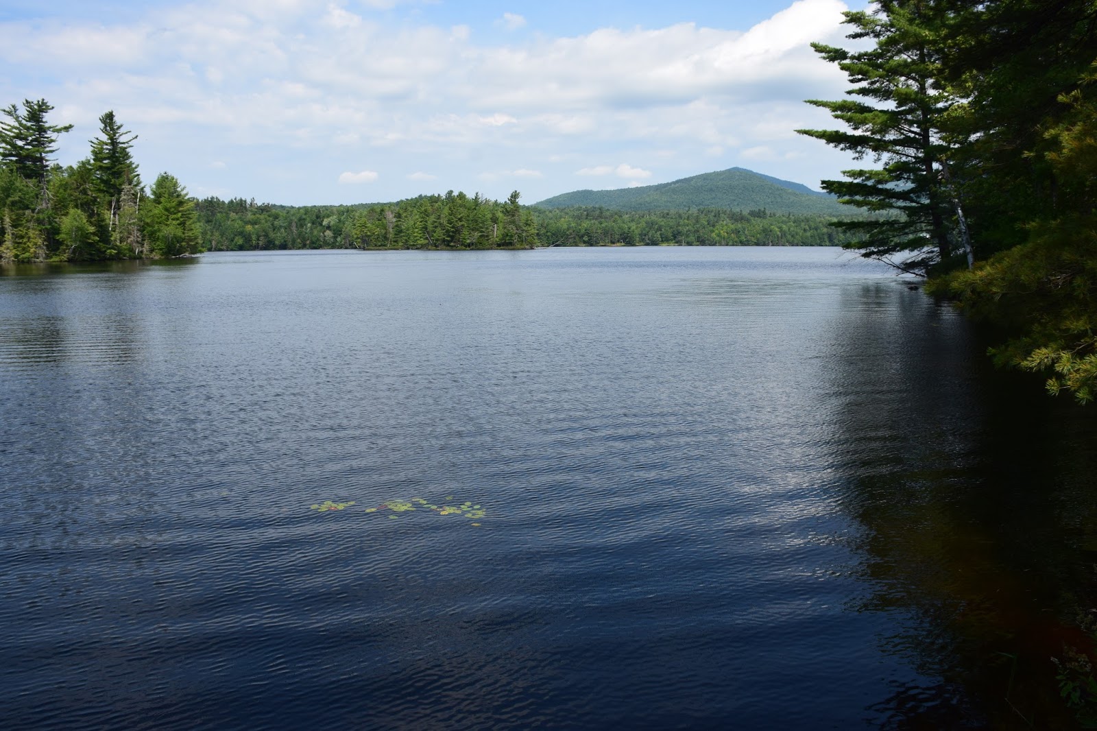 Those Who Wander: Buck Pond Campground Trail - D&H Railroad Bed