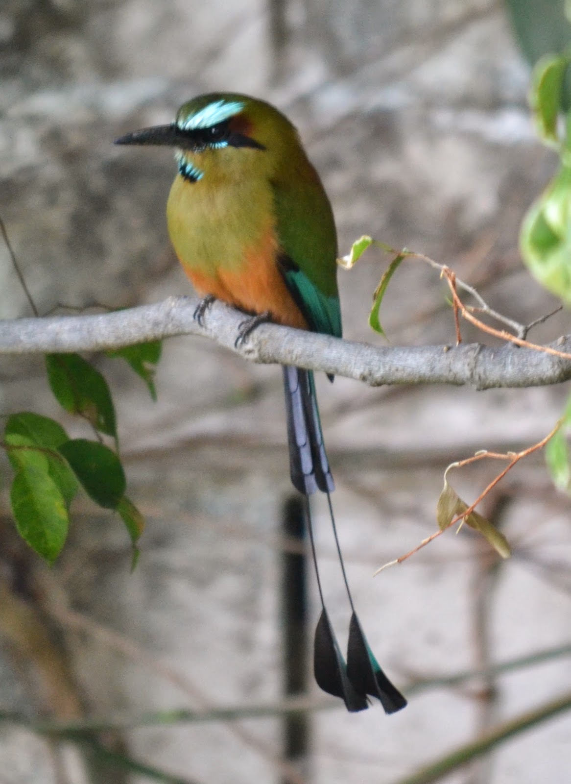 El blog de Juan José Dalton : marzo 2014