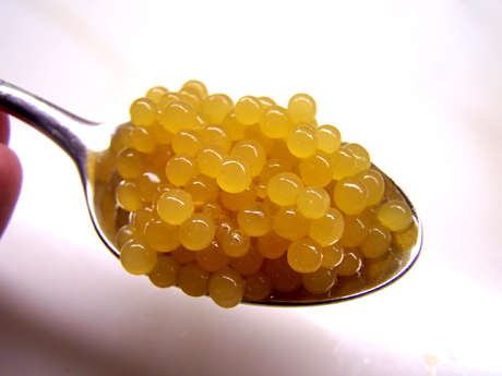 Krystal Rap™ ~ A Guardian Alliance/Emerald Order Resource Portal ...