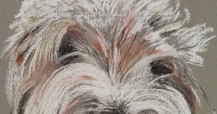 BacktoBodrum: A discombobulated dog