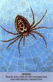 Tarot Notes: Cards and Quotes: The Spider