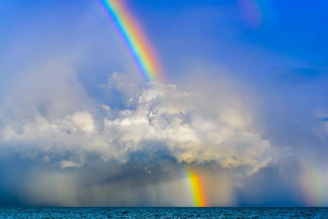 El Árbol De la Vida : Arco Iris!! La Energía Solar!!
