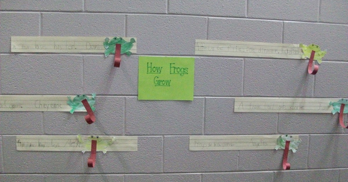 Mrs. Hankinson's Class: Frogs!