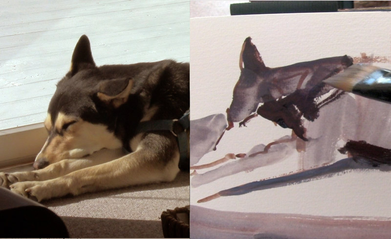 Gurney Journey: Husky Portrait in Casein