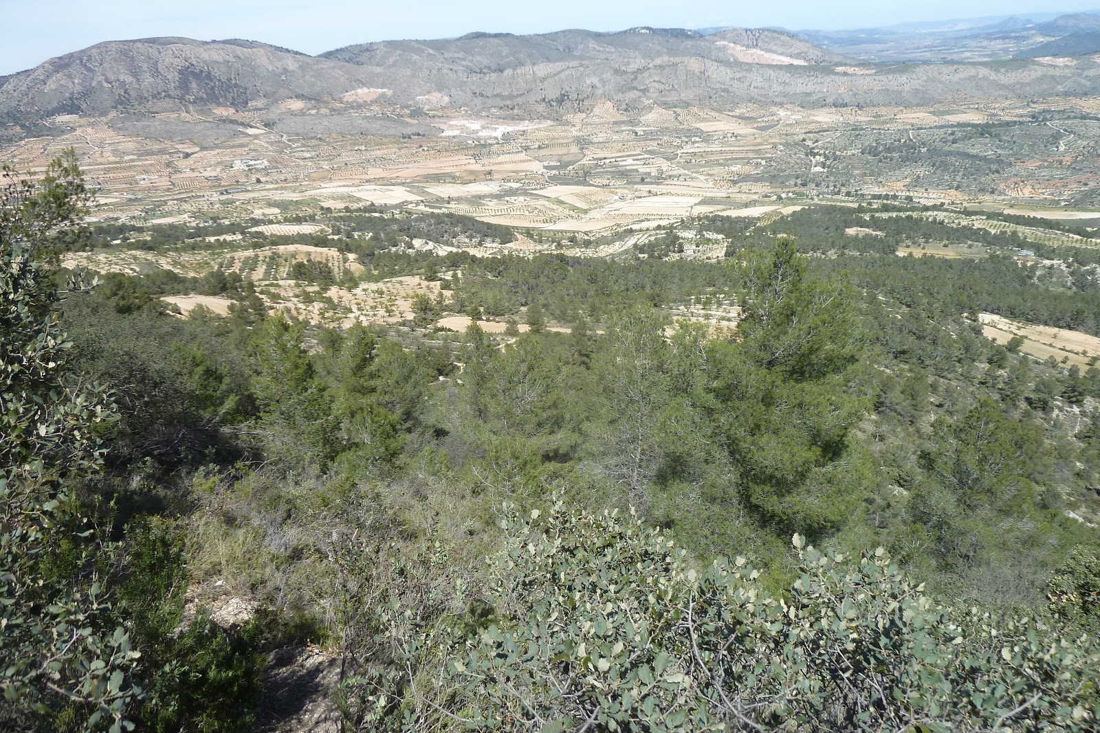 SIERRA ALGAYAT, PENYA LA MINA, ALGEÑA - Las Rutas de Moskys