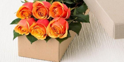 Paling Keren 25+ Bunga Mawar Oren - Gambar Bunga Indah